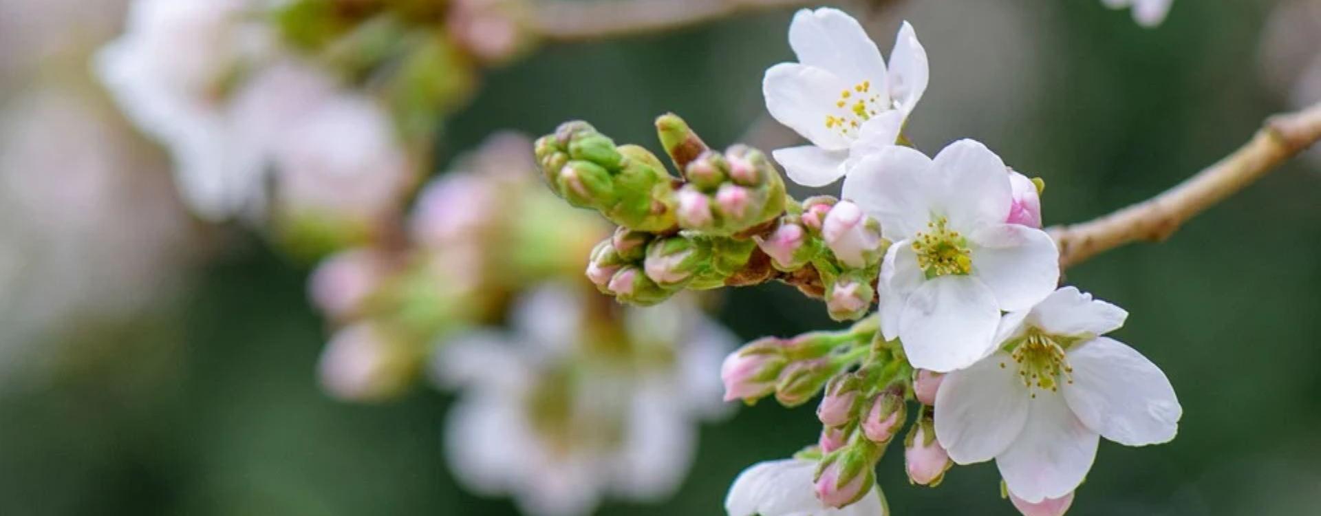 Le Printemps est là, bougeons
